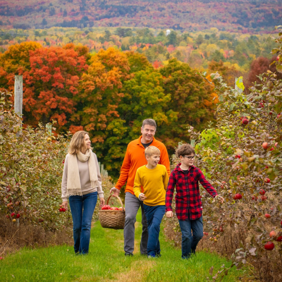 Autumn Adventures Await: Discover Fall in Fredericton | Fredericton ...